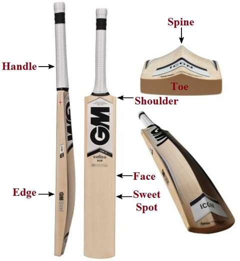 The Age for Smart Cricket Bats - Spektosphere